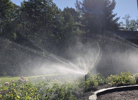 Brightwater Irrigation & Lighting - Brightwater Irrigation & Lighting ...